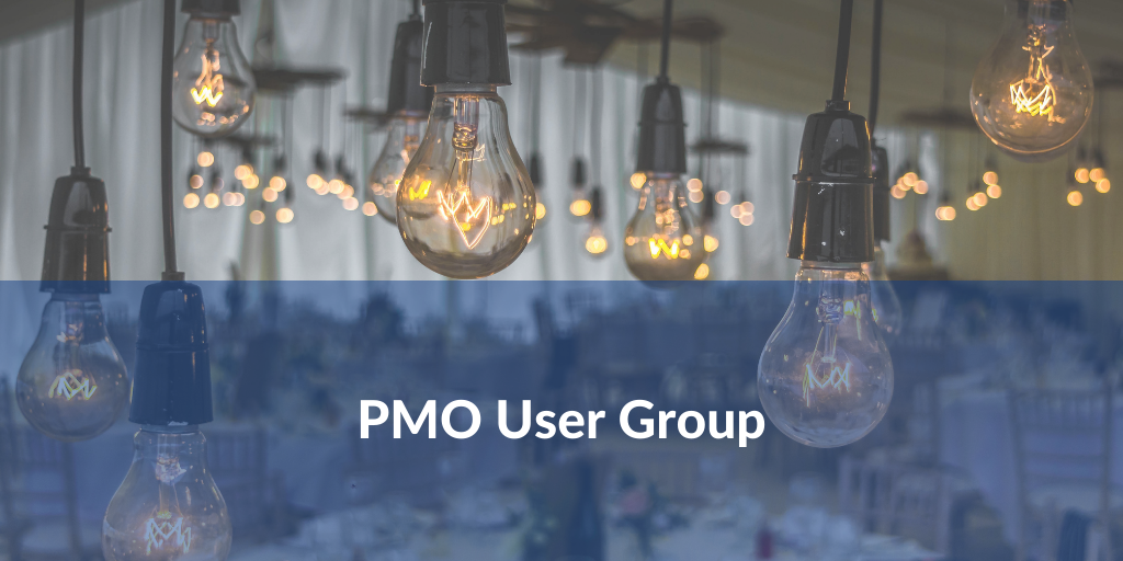 Setting up and running a PMO: from working in silos to Agility - Belgium