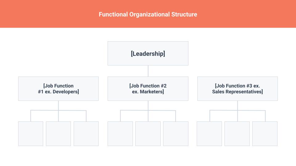 Understanding Organisational Structures: types & benefits | QRP