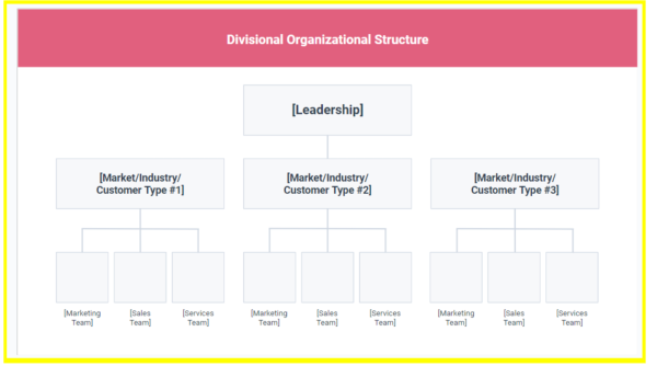 Understanding Organisational Structures: types & benefits | QRP