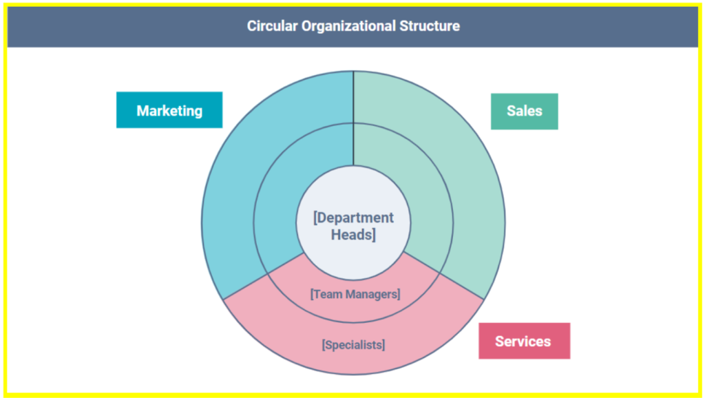 Understanding Organisational Structures: types & benefits | QRP