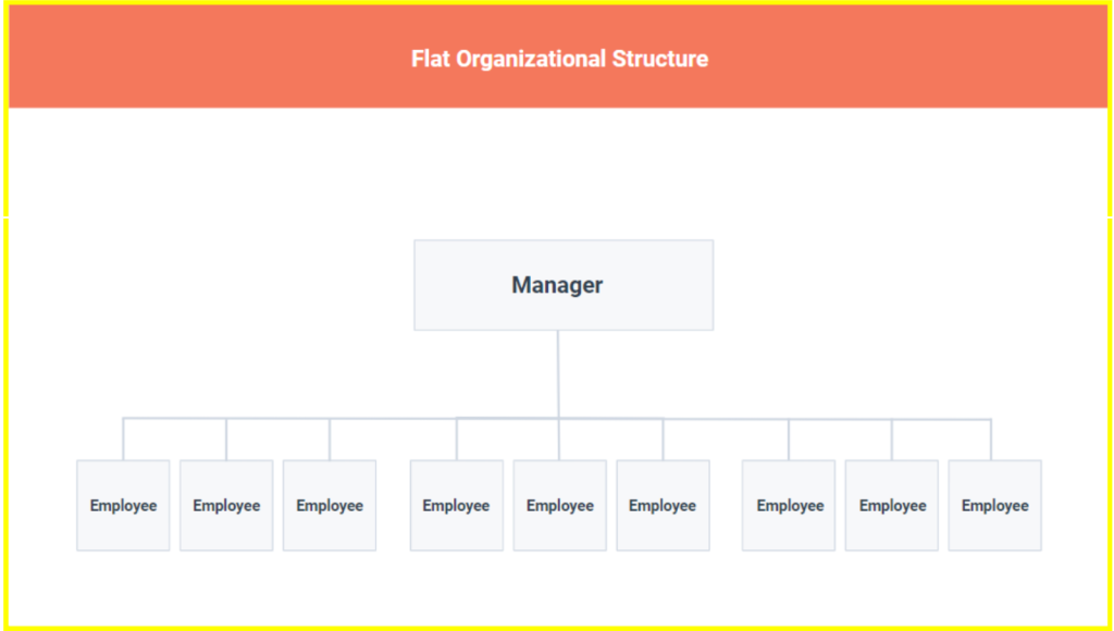 Understanding Organisational Structures: types & benefits | QRP