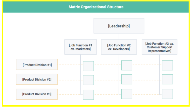 Understanding Organisational Structures: types & benefits | QRP